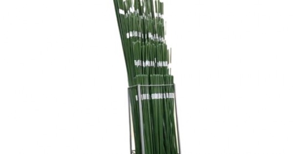 ΣΤΗΡΙΓΜΑΤΑ ΦΥΤΩΝ 120cm